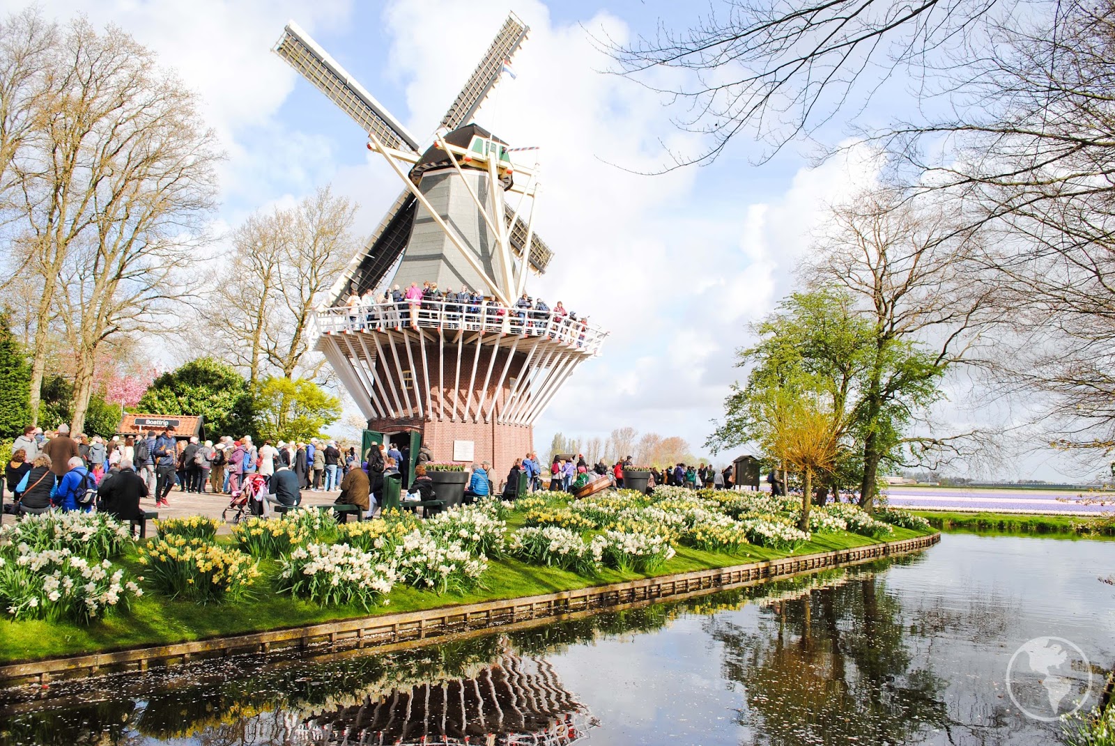 Holanda | Visitando Keukenhof - O Parque das Tulipas