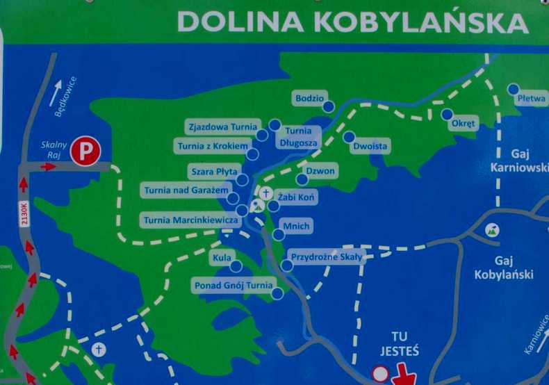 Szkiełkiem, okiem i sercem: Dolina Kobylańska wiosną