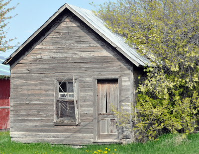 Cook Family History: James Edward Cook - Part 3