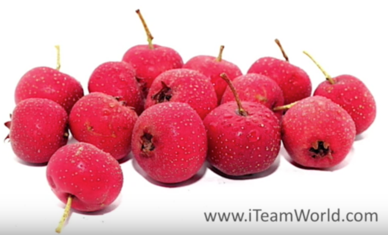 iTeam World : BERRYBEAT by eLEAD Global