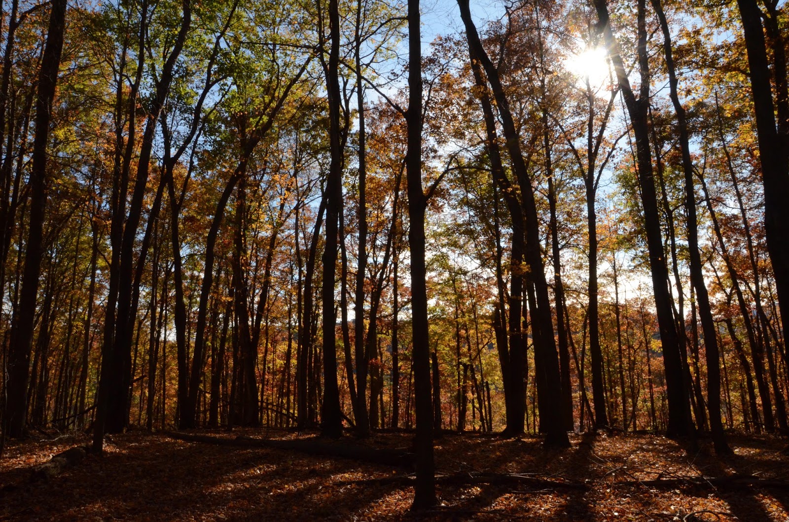 Manifest Destiny (PA): Warriors Path State Park