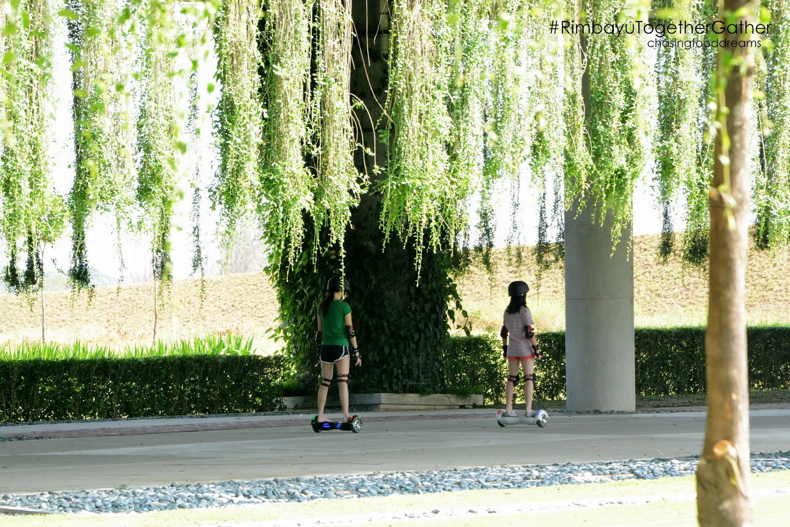 CHASING FOOD DREAMS: Bandar Rimbayu by IJM Land