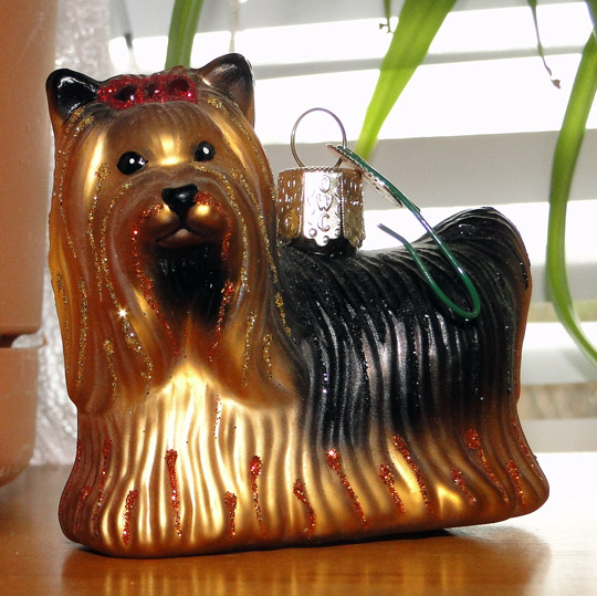 Reflections From the Fence: 2011