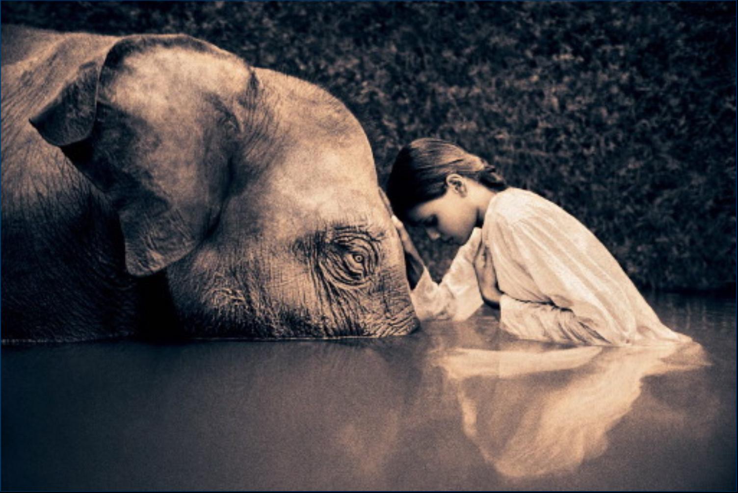 Adrian Dafonte Fotografía : Gregory Colbert: Ashes and Snow