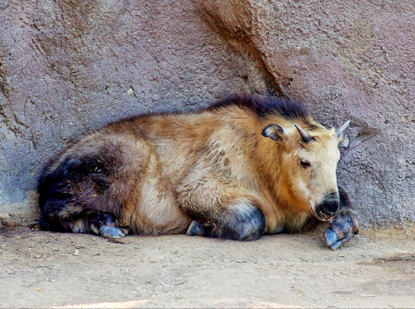 ΤΑΚΙΝ photos - wallpapers | the fun bank