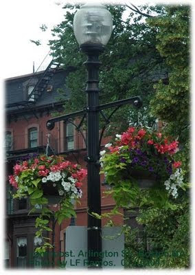 Naquem.: Kamote (Sweet Potato) and Gulasiman/Ngalog (Purslane) in America