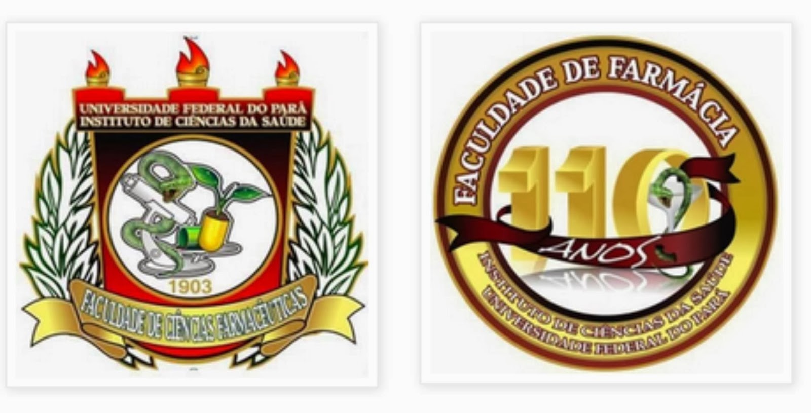 Instituto de Ciências da Saúde: I Fórum de Educação Farmacêutica do Pará