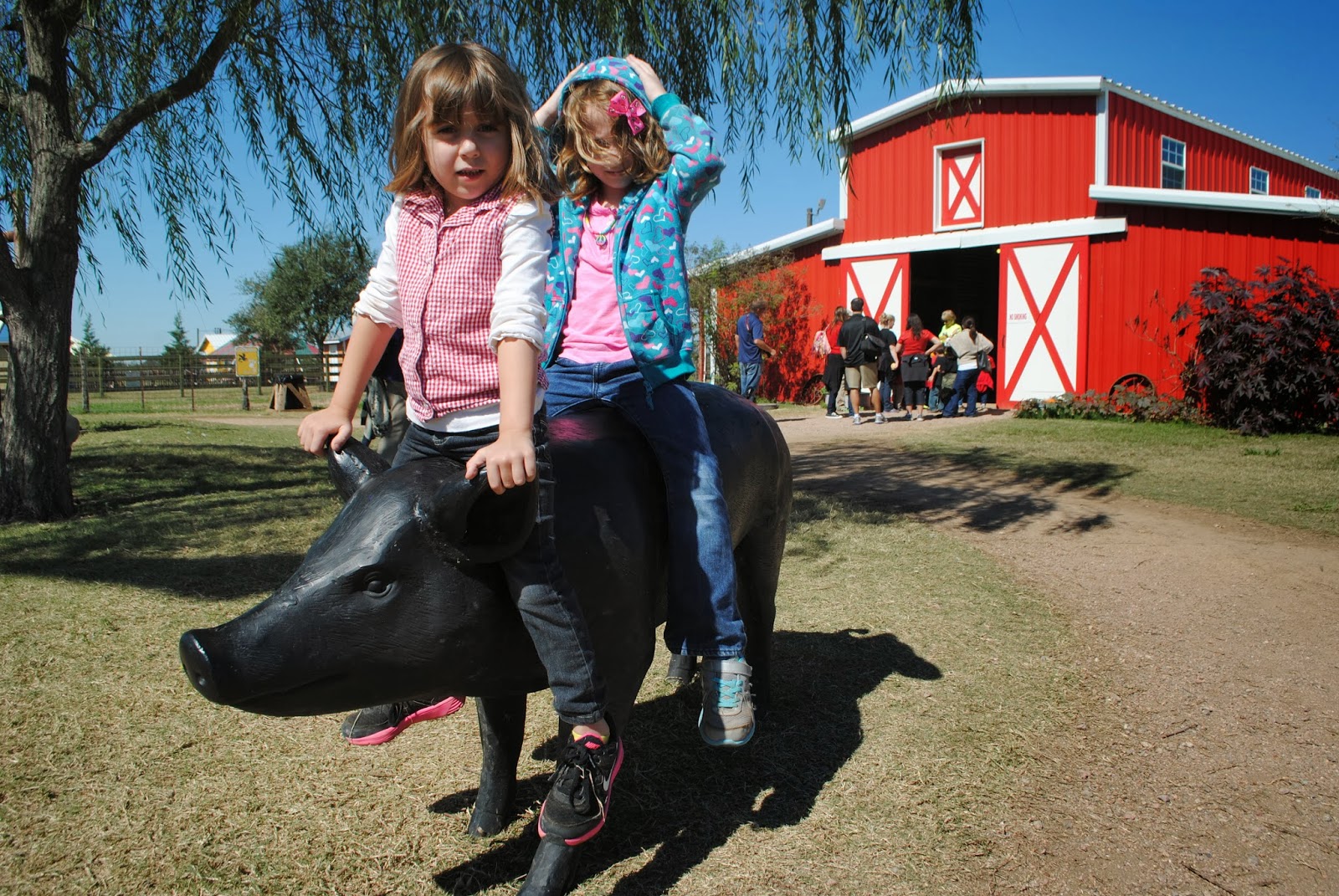 Boo Bobby : Dewberry Farm