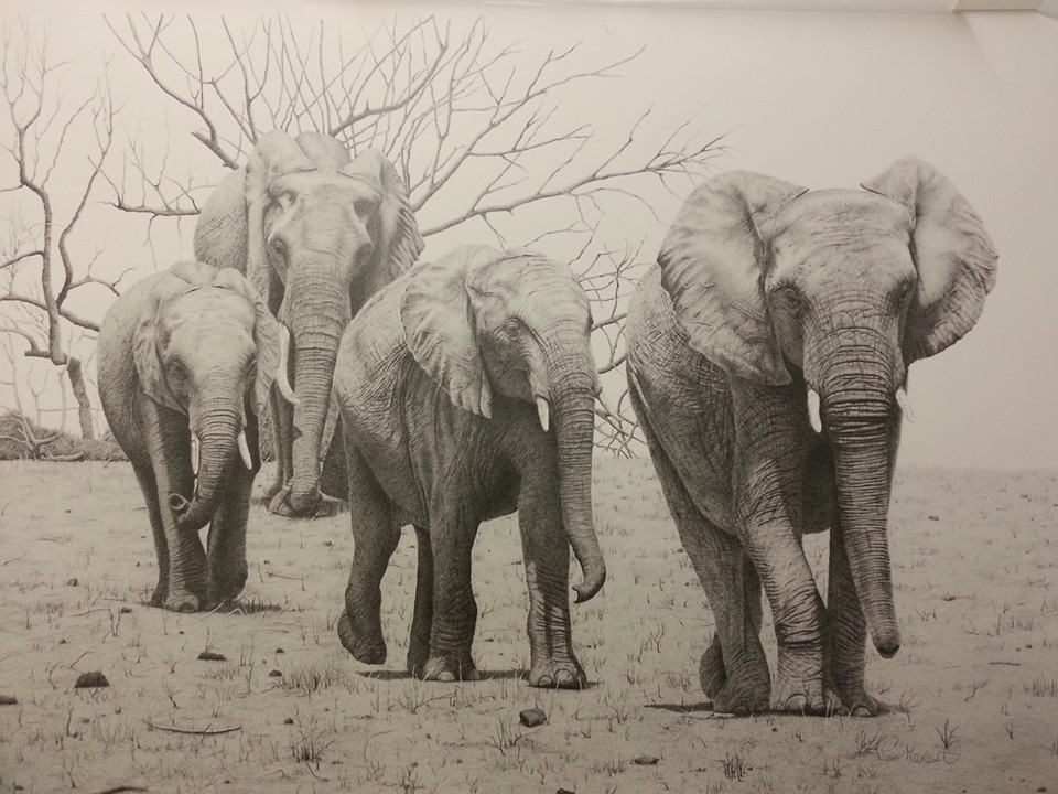 Clive Meredith Wildlife Art: 'Leading the Way' original Elephant ...