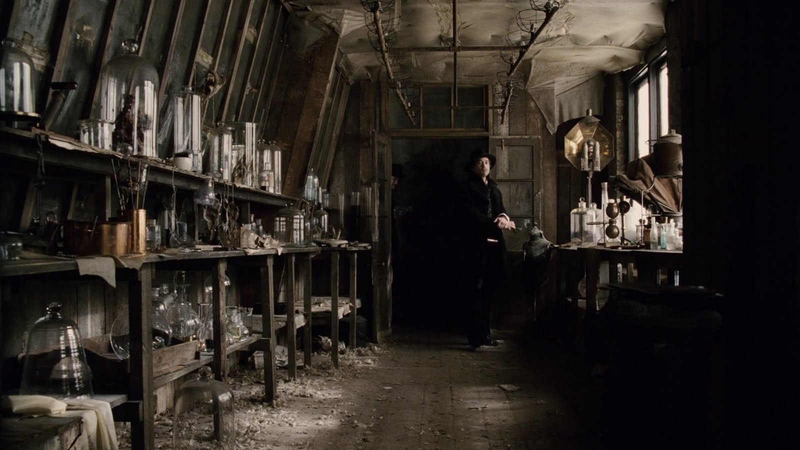 En un rincón de mi conciencia: Sherlock y botánica