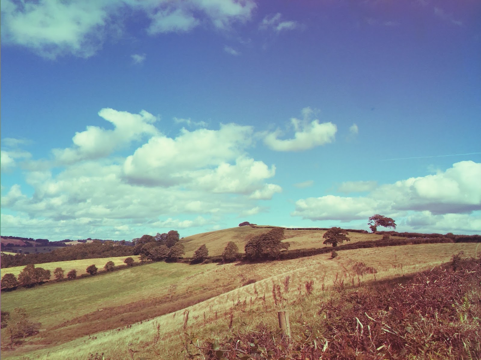 Reading and walking "Raddon Top" whilst Donald Trump and Kim Jong-un ...