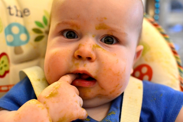 Growing Baby Shelton