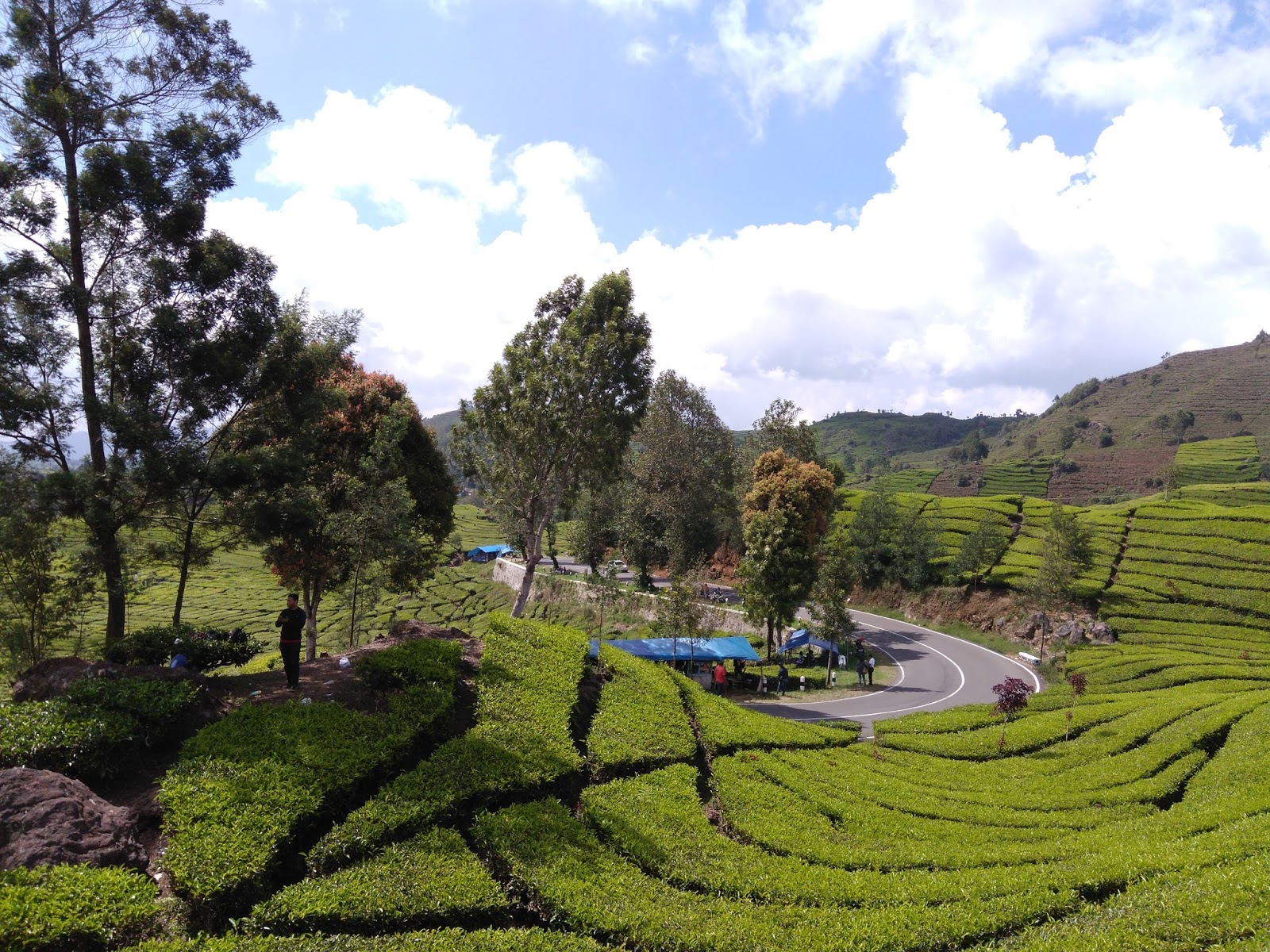 Kebun Teh Rancabali @Ciwidey @Bandung | Celoteh Wahyu