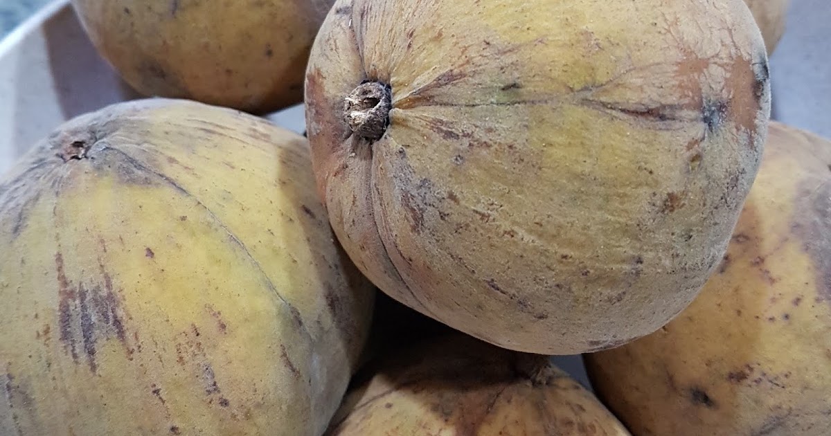 Santol season is here! - It's all about food
