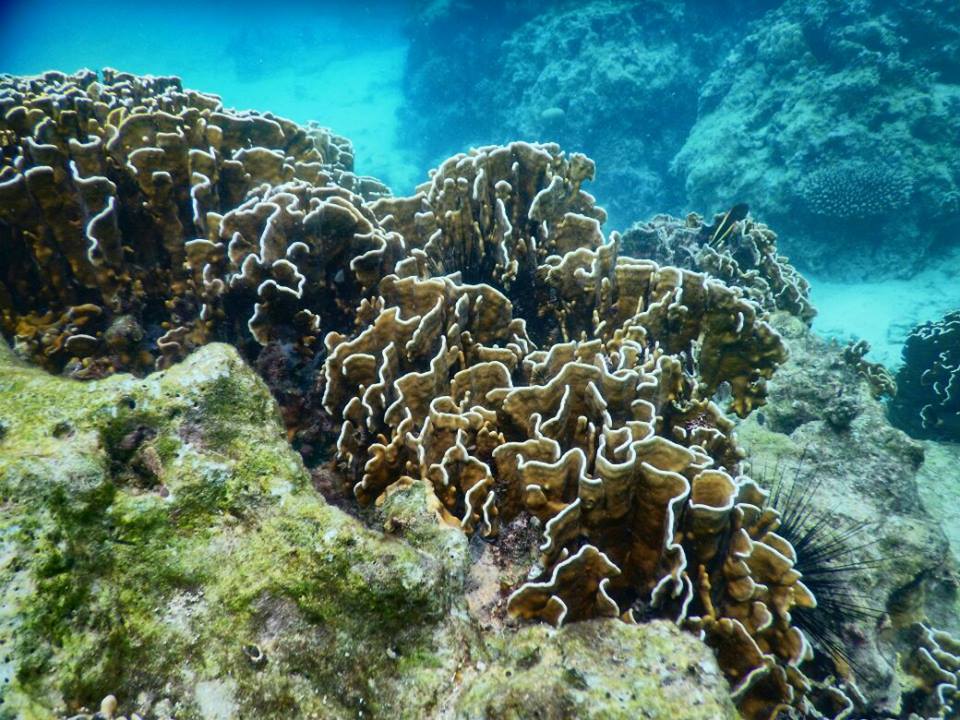 Pulau Rubiah Sabang - Aceh