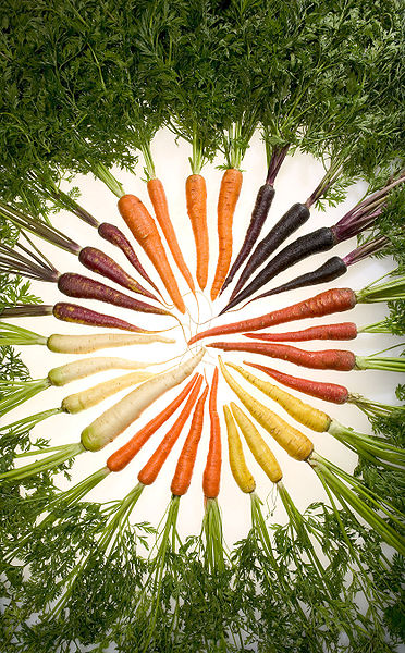 Carotene in carrots - Orange skin discoloration | the dynamic natural ...