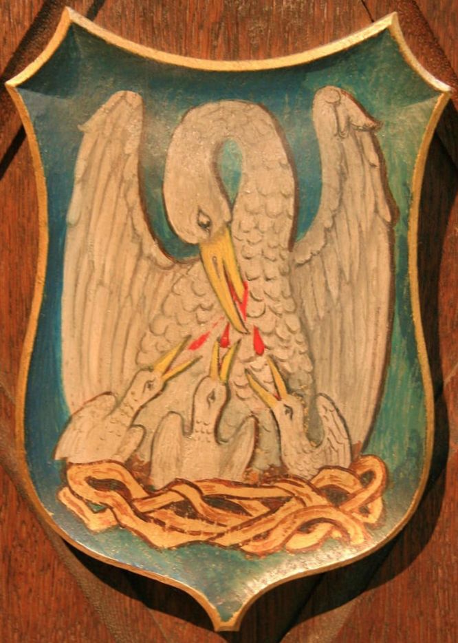 SCA Pelican Temporal Rings