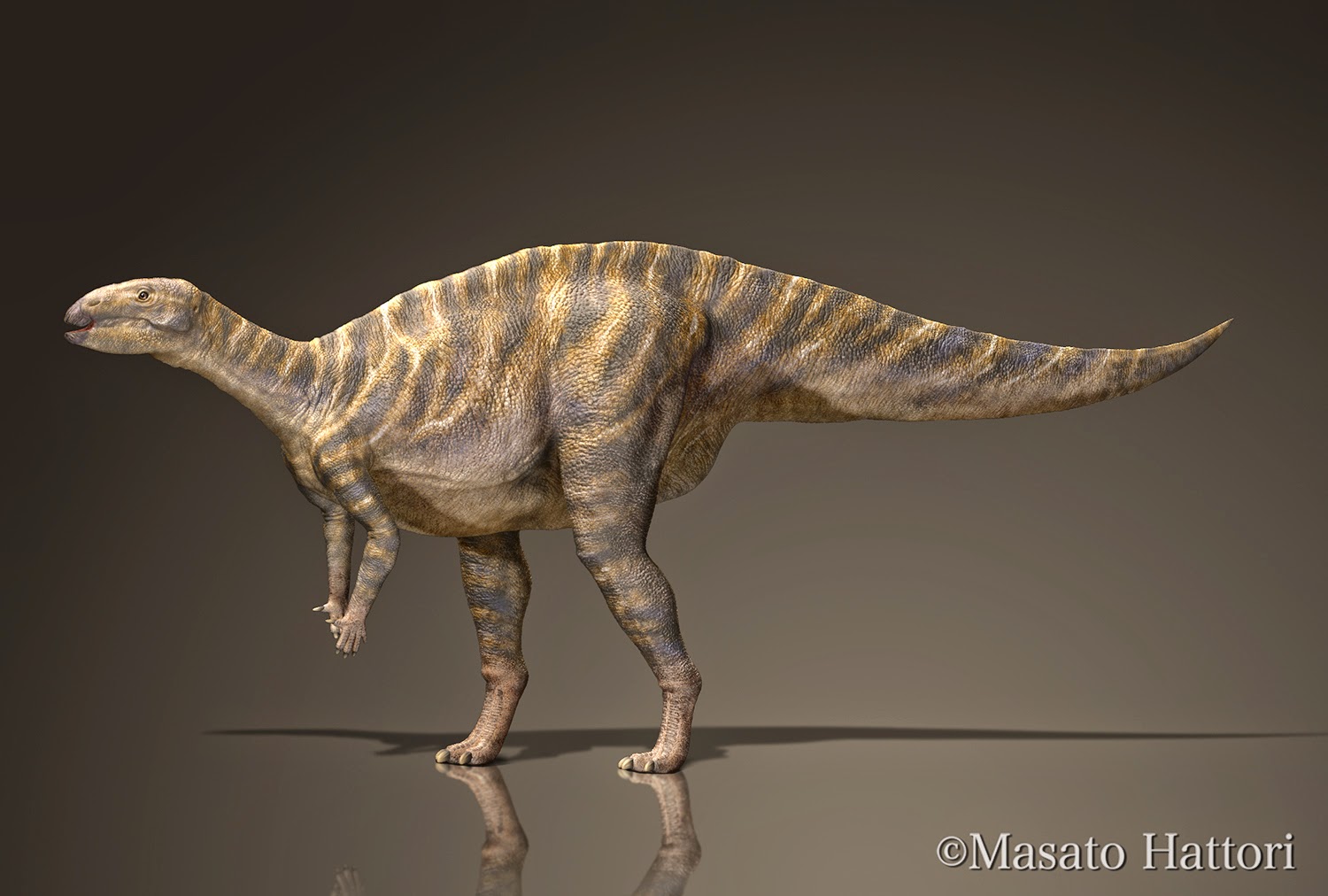 Marchan Blog: フクイサウルス Fukuisaurus tetoriensis