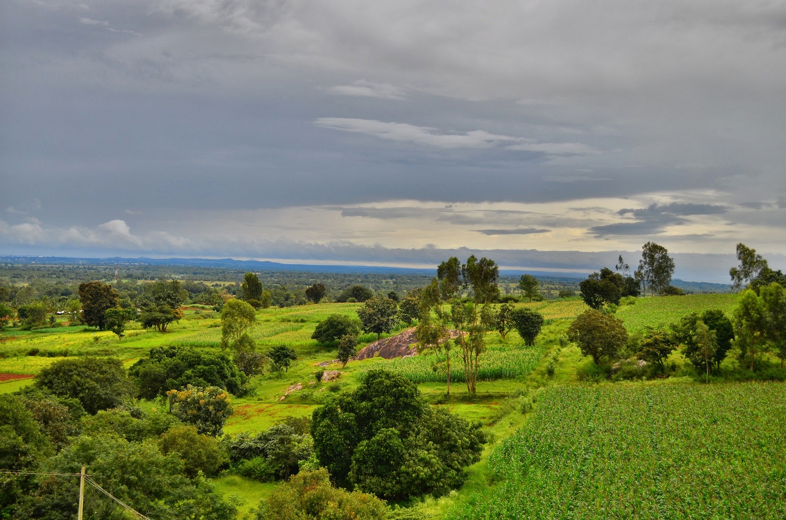 Sharath Hassan A Travelling Photographer: SEEGE GUDDA, Hassan Taluk ...