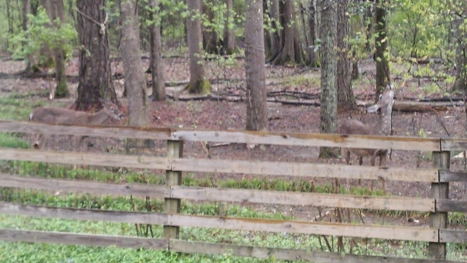 Jerry and Cricket Aull