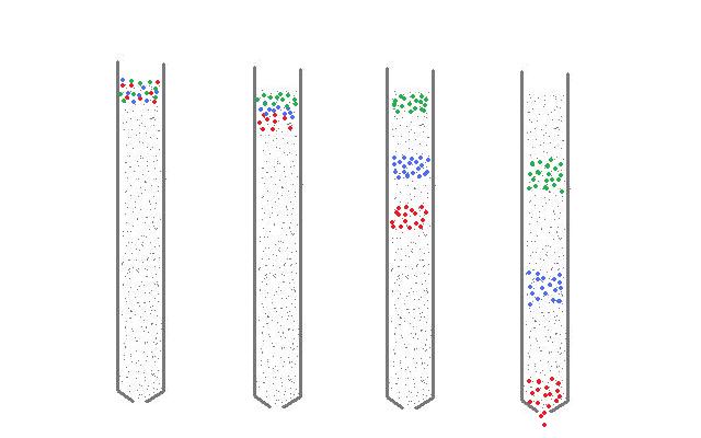 Preparative chromatography training