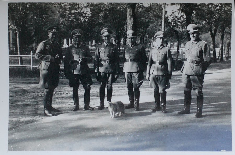 NAZI JERMAN: Foto Kucing (Katze)