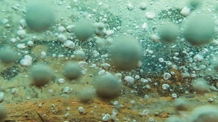 The Presurfer: Scientists Discover A Boiling River In The Amazon