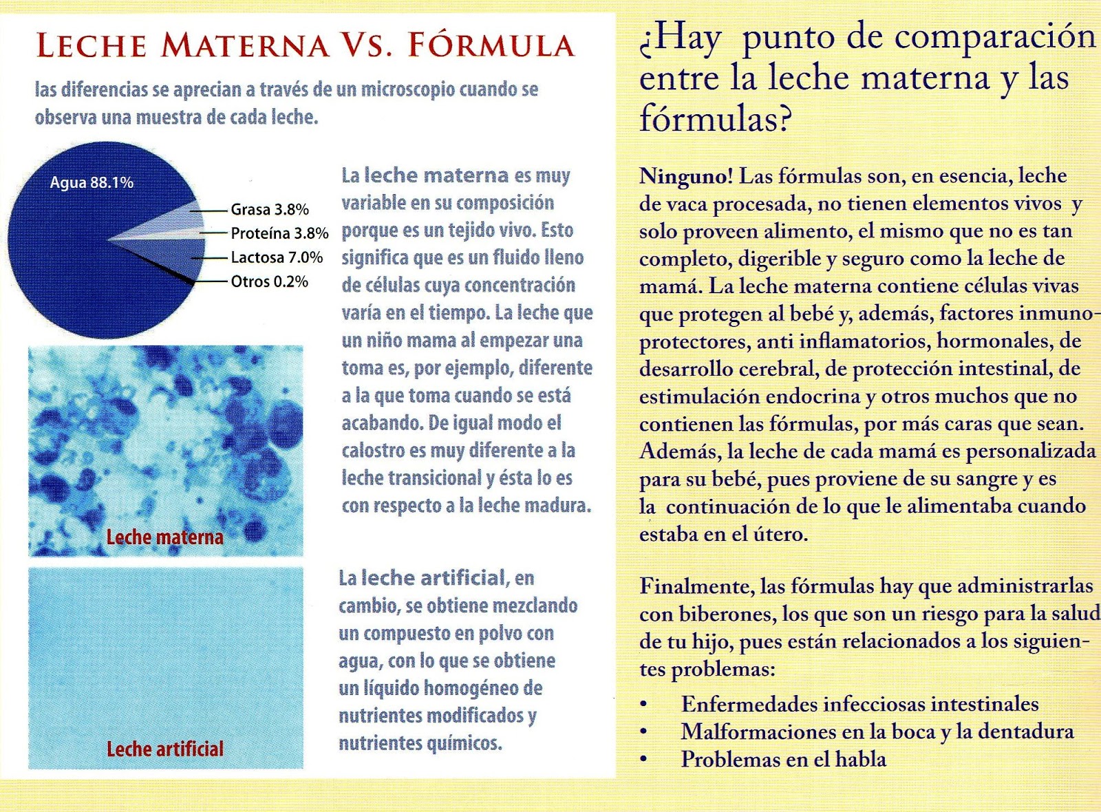 Leche Materna vs Fórmula