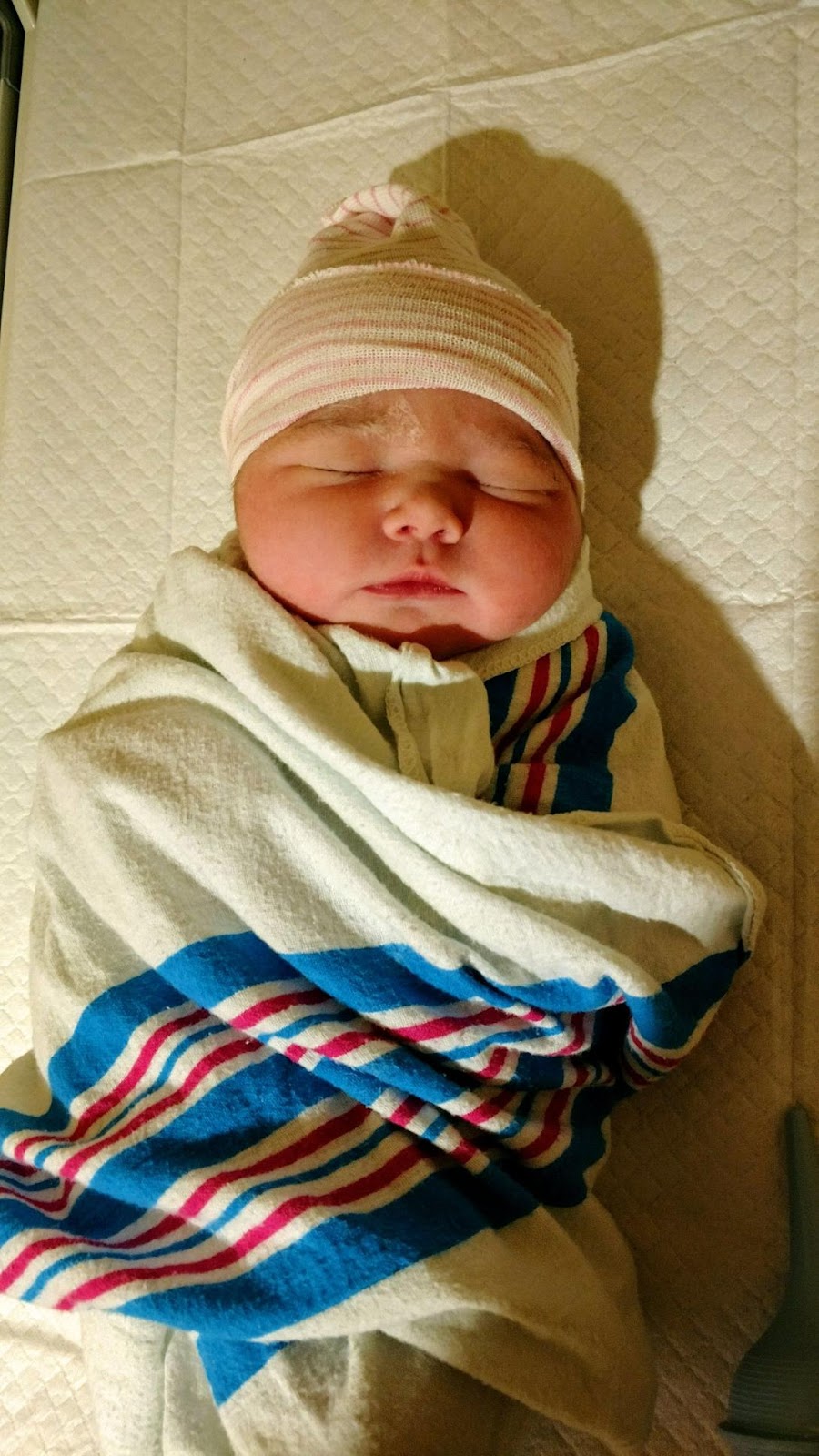 Marshall, Chelsea, Jack, and Wyatt