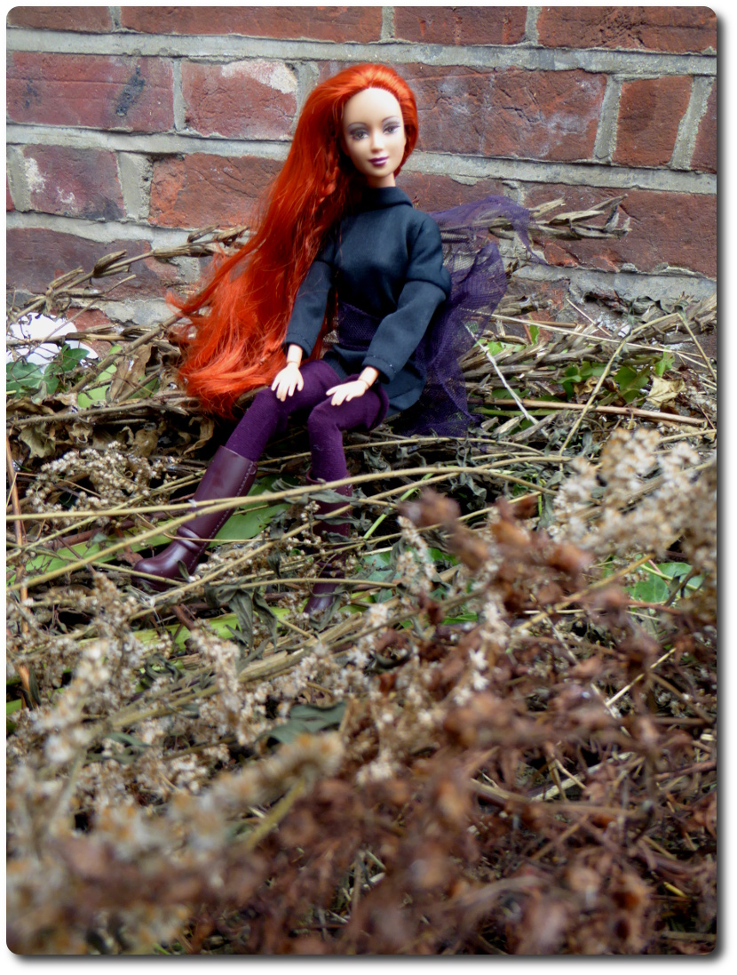 roroDolls: Vanitas and decay (thoughts about autumn)