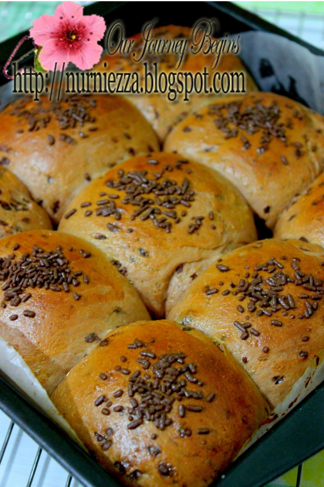 Our Journey Begins: Chocolate Rice Buns ( Roti Coklat Urai)