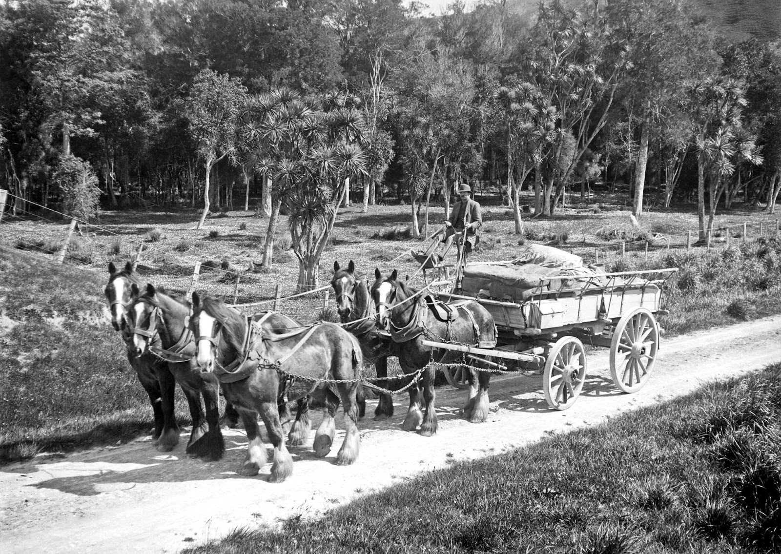 History in Photos: May 2015