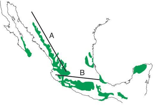 Tropical Dry Forests of Mexico