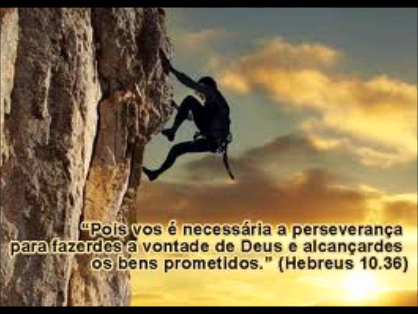 POR QUE O CATÓLICO DEVE PERSEVERAR NA "VERDADEIRA TRADIÇÃO DA IGREJA ...