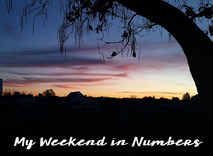 My Weekend in Numbers ~ Life with Lolo