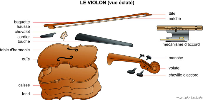 Violon