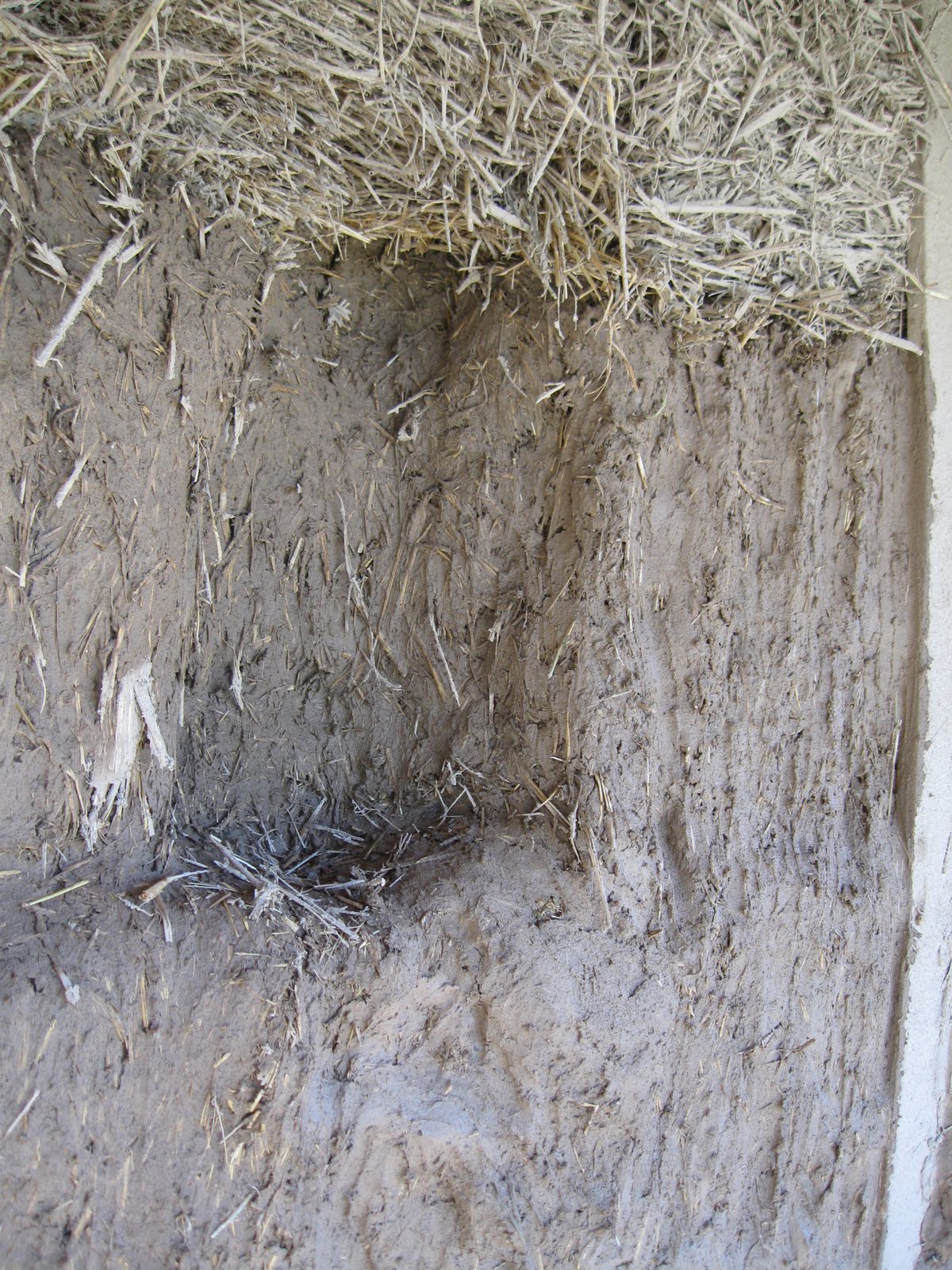 Squash Blossom Farm: First Coat of Earth Plaster