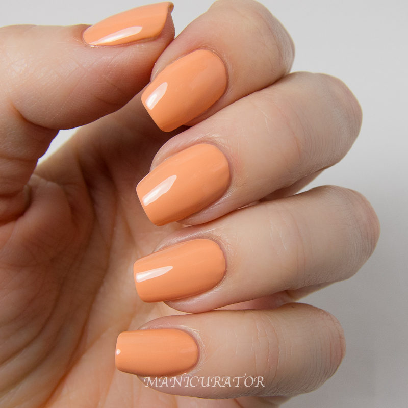 Zoya Awaken and Monet Spring 2014 Swatch and Review Plus Freehand ...