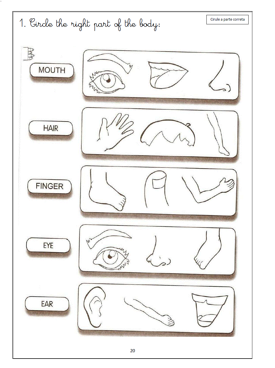inglês4classes: BODY PARTS---PARTES DO CORPO