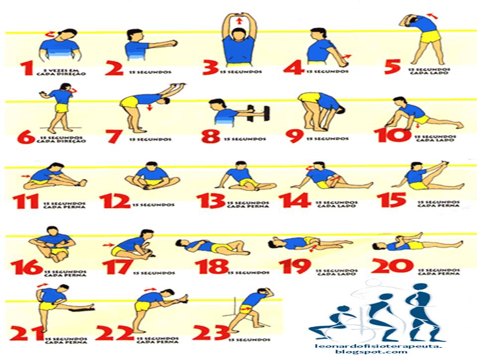 Leonardo Fisioterapeuta: Alongamentos que previnem dores nas costas.