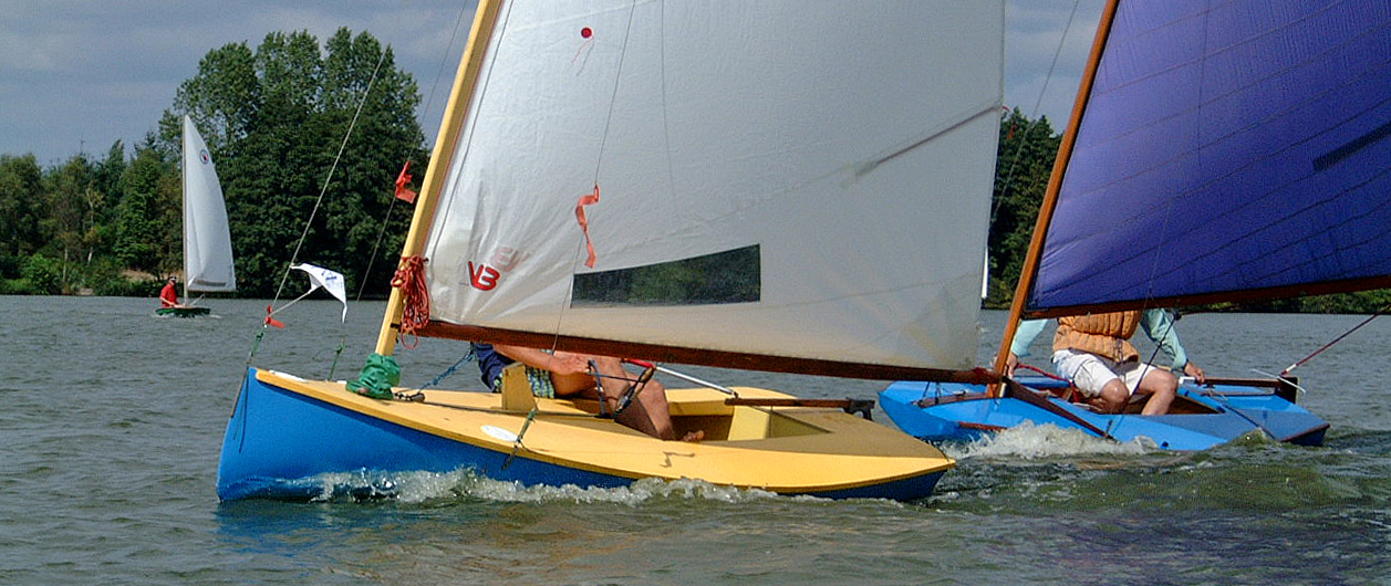 Earwigoagin: Header Photo: Curvaceous French Classic Moth