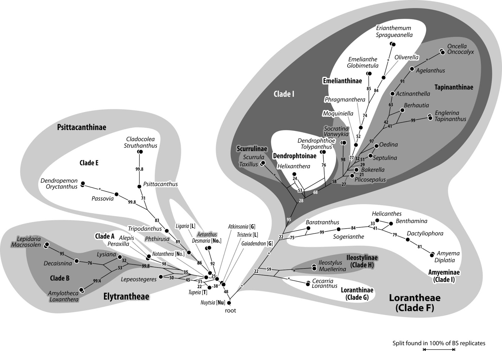 The Genealogical World of Phylogenetic Networks: Using consensus ...