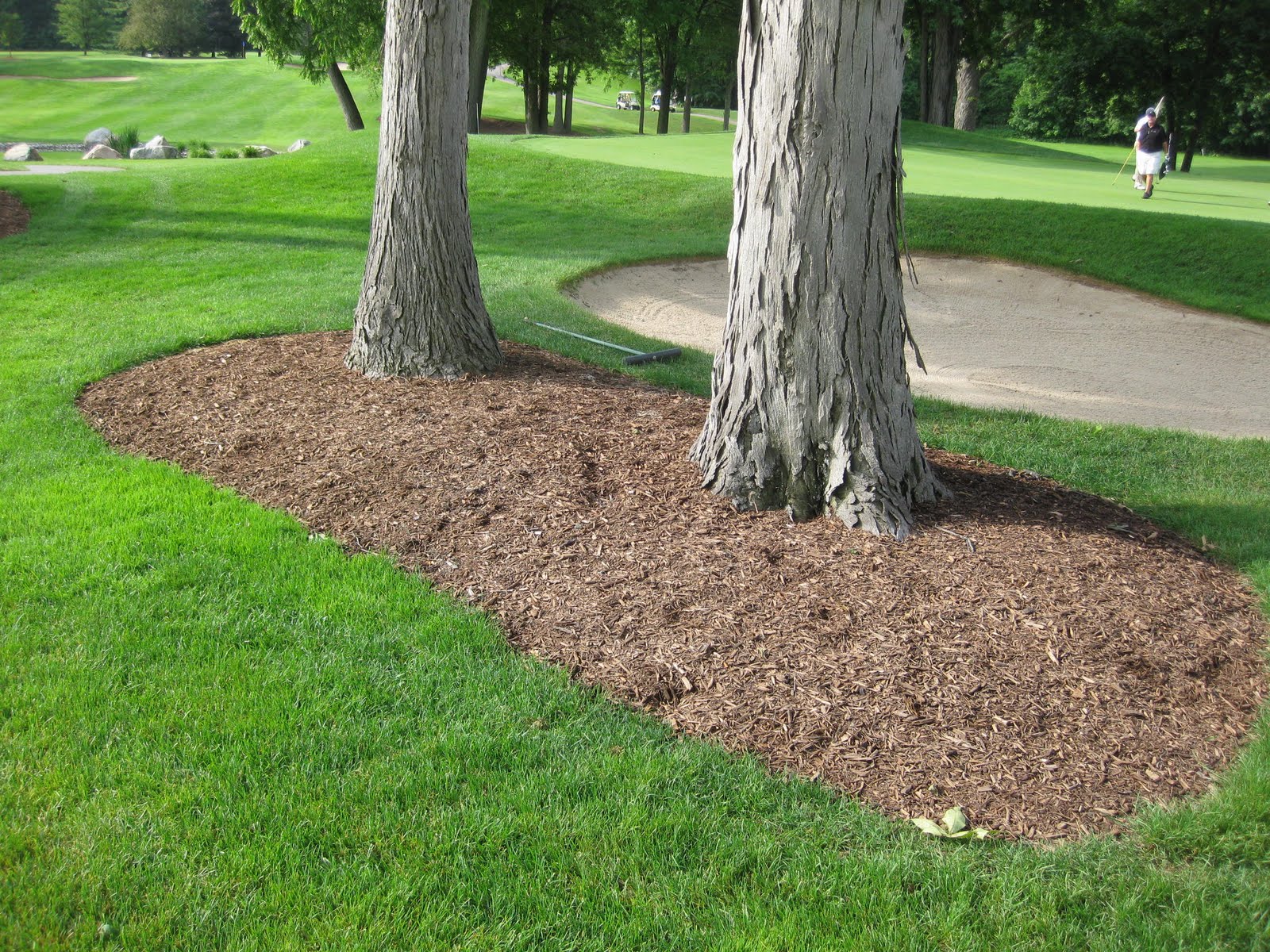 Meadowbrook Country Club Golf Course Maintenance: Course Detailing