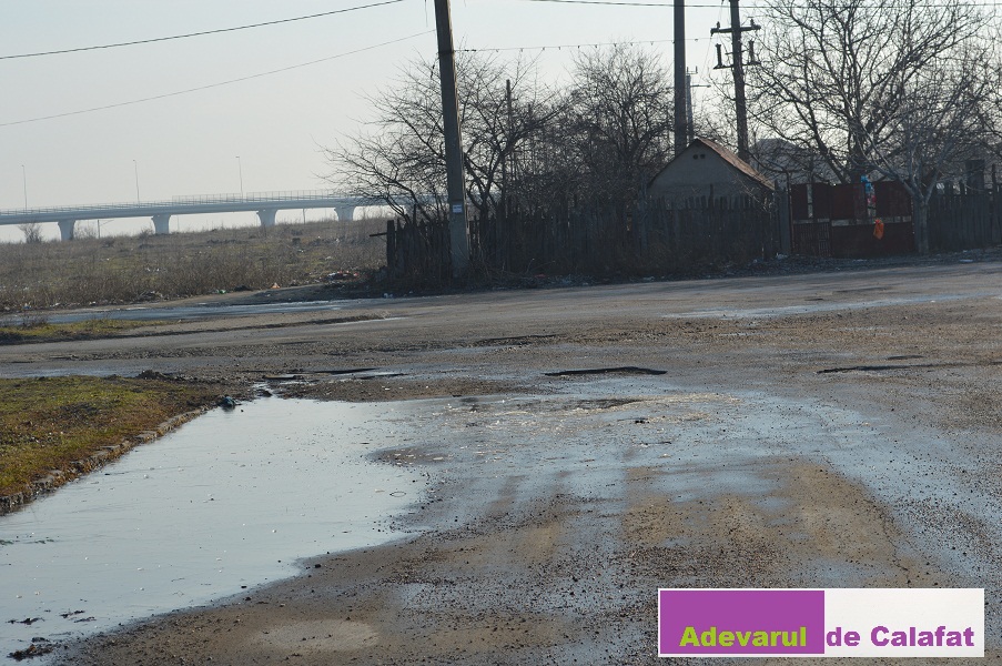 Adevărul de Calafat: februarie 2013