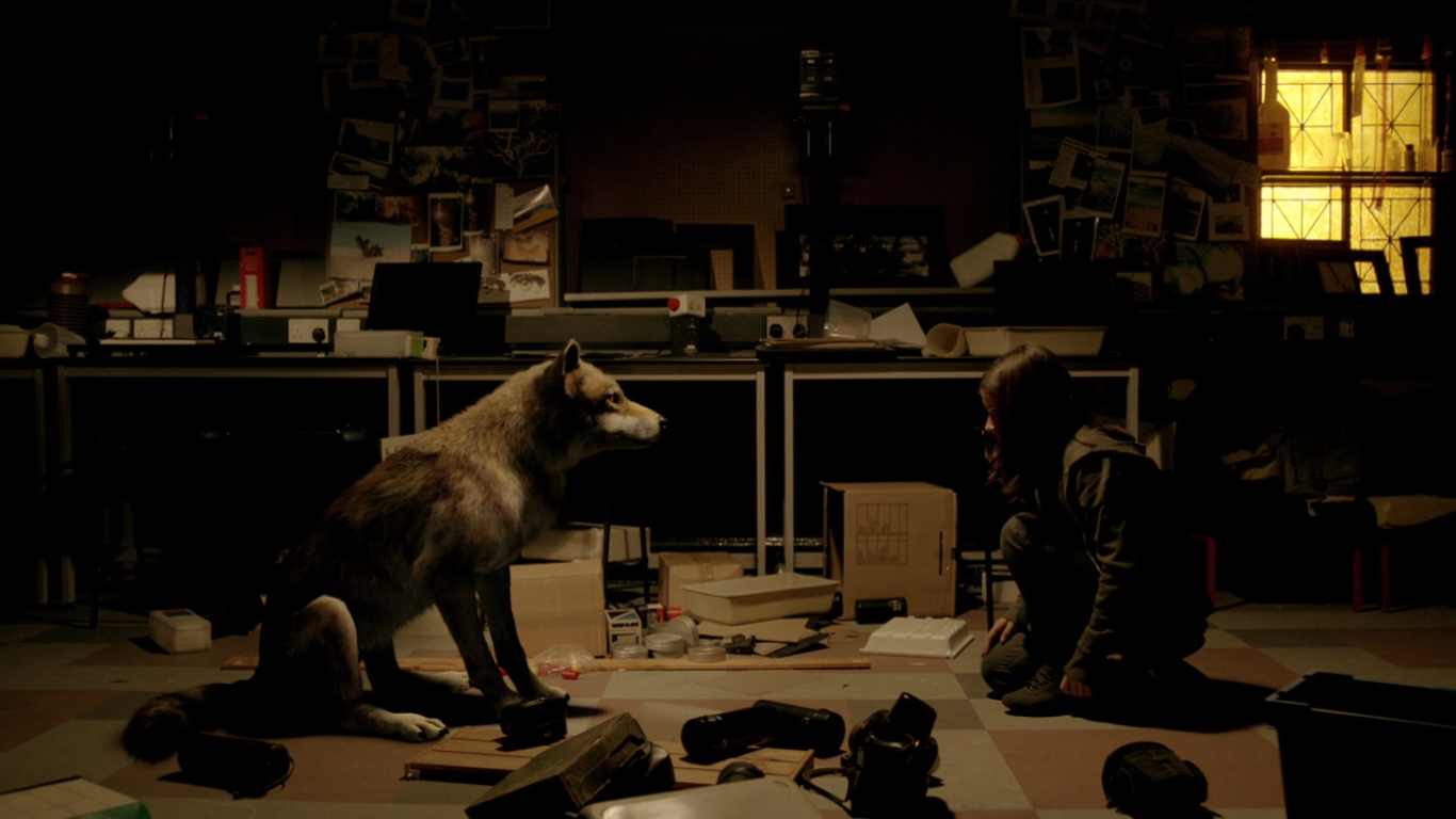 Wolfblood Brasil: Wolfblood: Família Lobo Episódio 1 Lobo Solitario