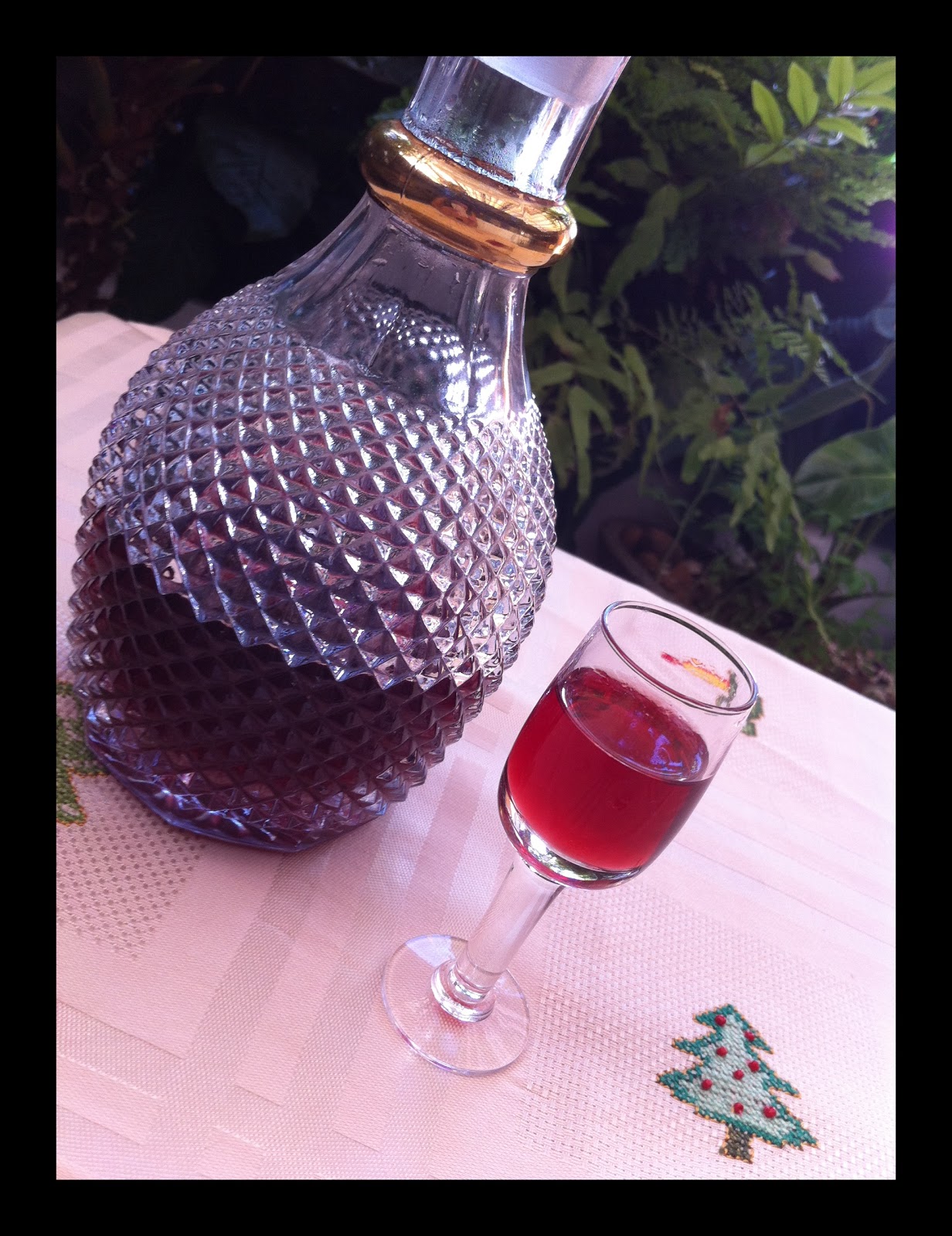 Licor de Jabuticaba!!! - Artes da Mel