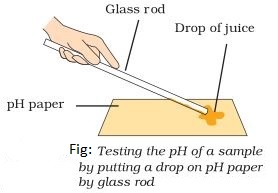 To find the pH of the samples by using pH paper/universal indicator ...
