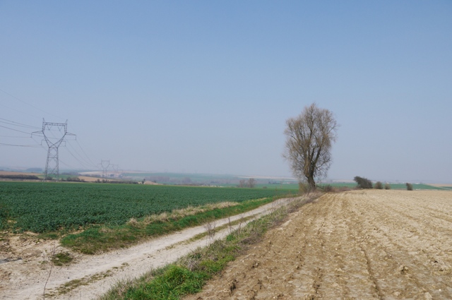 WW1 and WW2 Defences - Suffolk and beyond: Somme Trip 2012 - Boom Ravine