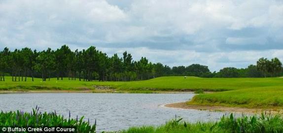 Photos: Monster Alligator spotted strolling across a Golf Course in Florida