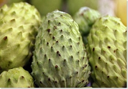 FRUTAS BRASIL: CLONAGEM DE ESPÉCIES DE ANNONACEAE